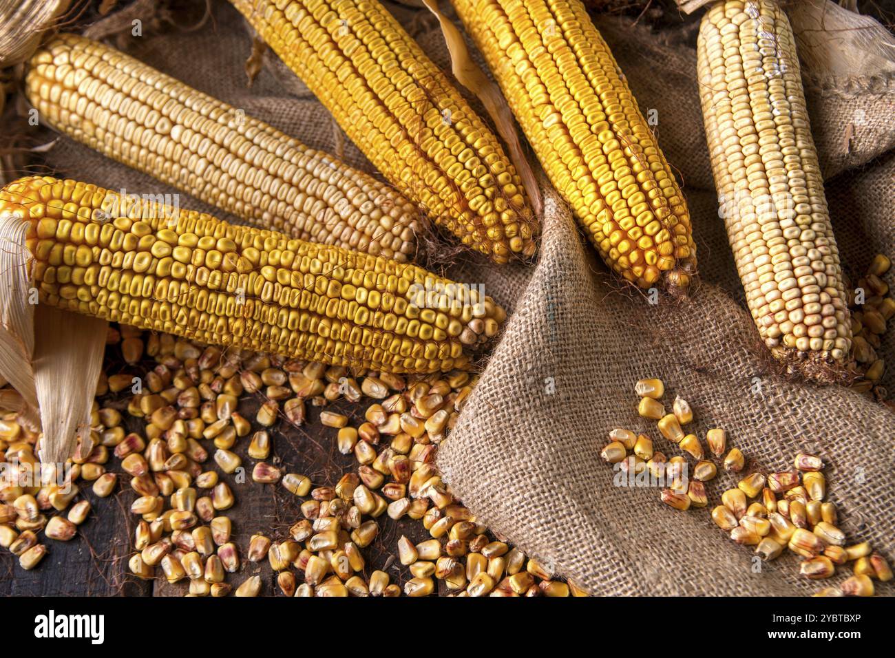 Maize grinding hi-res stock photography and images - Alamy