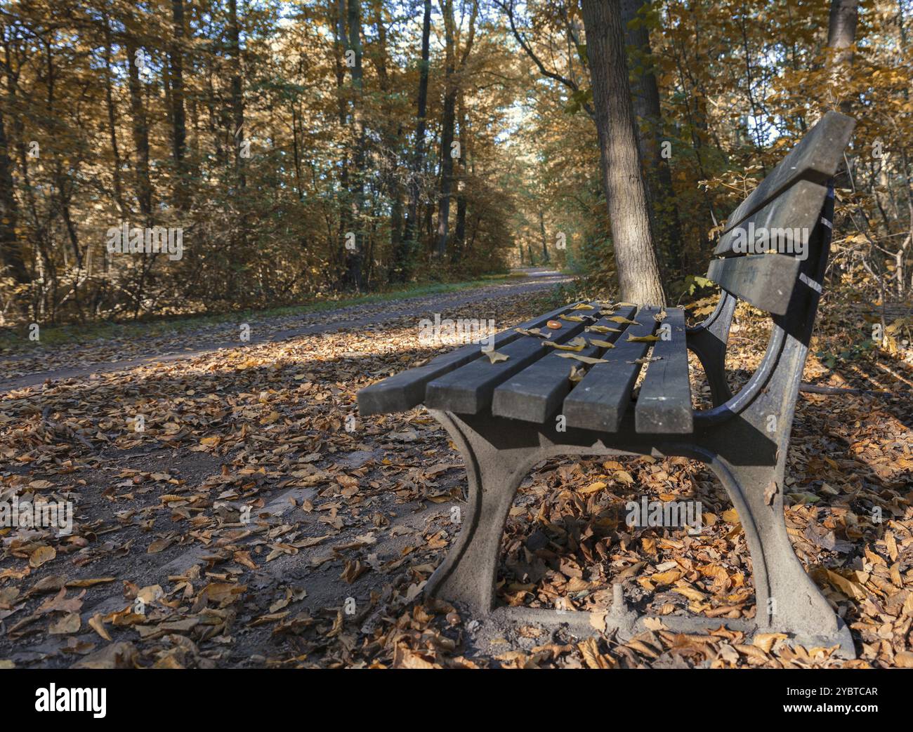 Oak benches hi-res stock photography and images - Alamy