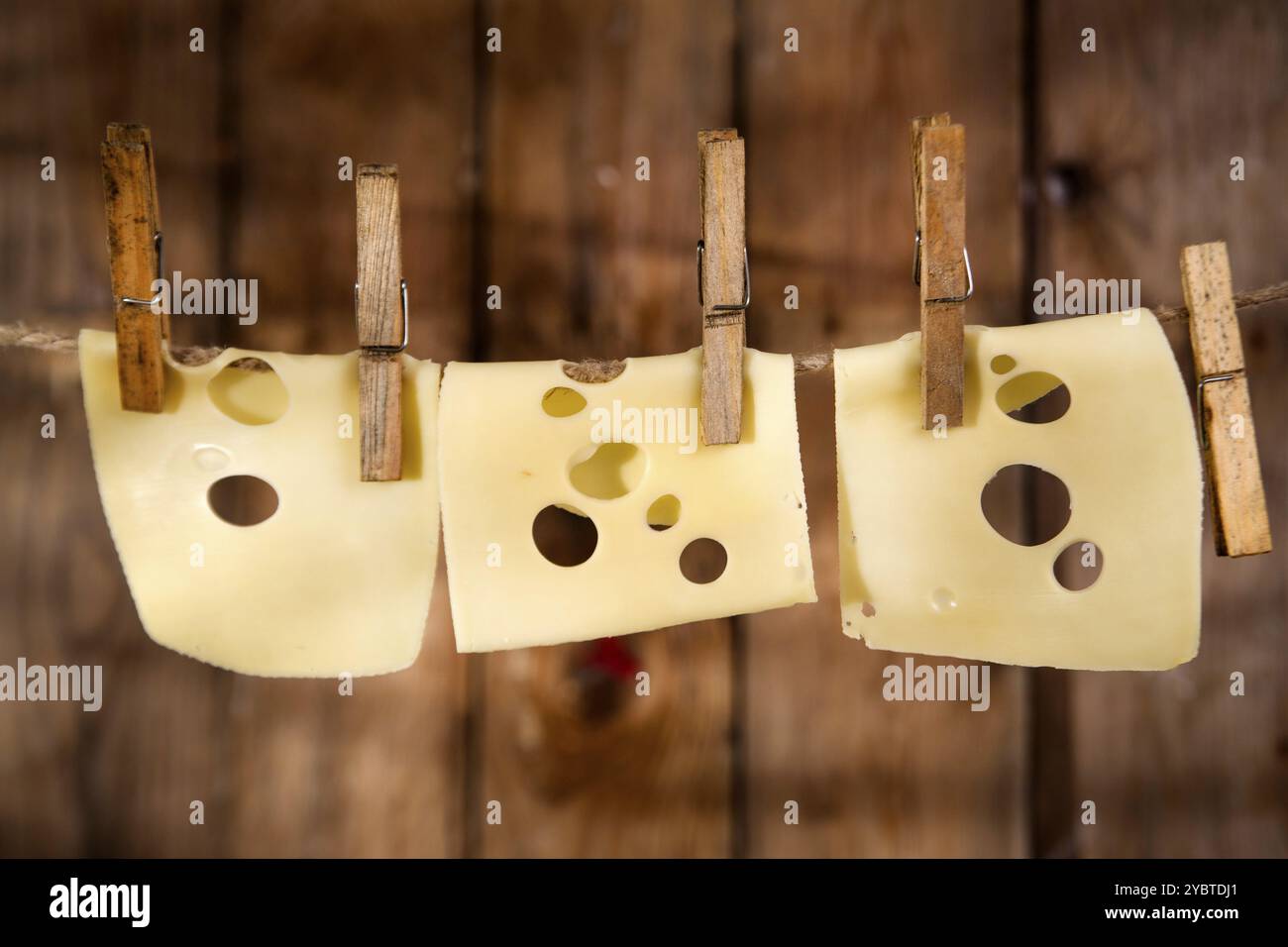 Presentation of slices of Swiss cheese Emmentaler hanging by a thread ...