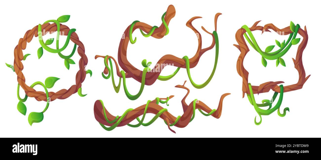 Liana vine frames set isolated on white background. Vector cartoon ...