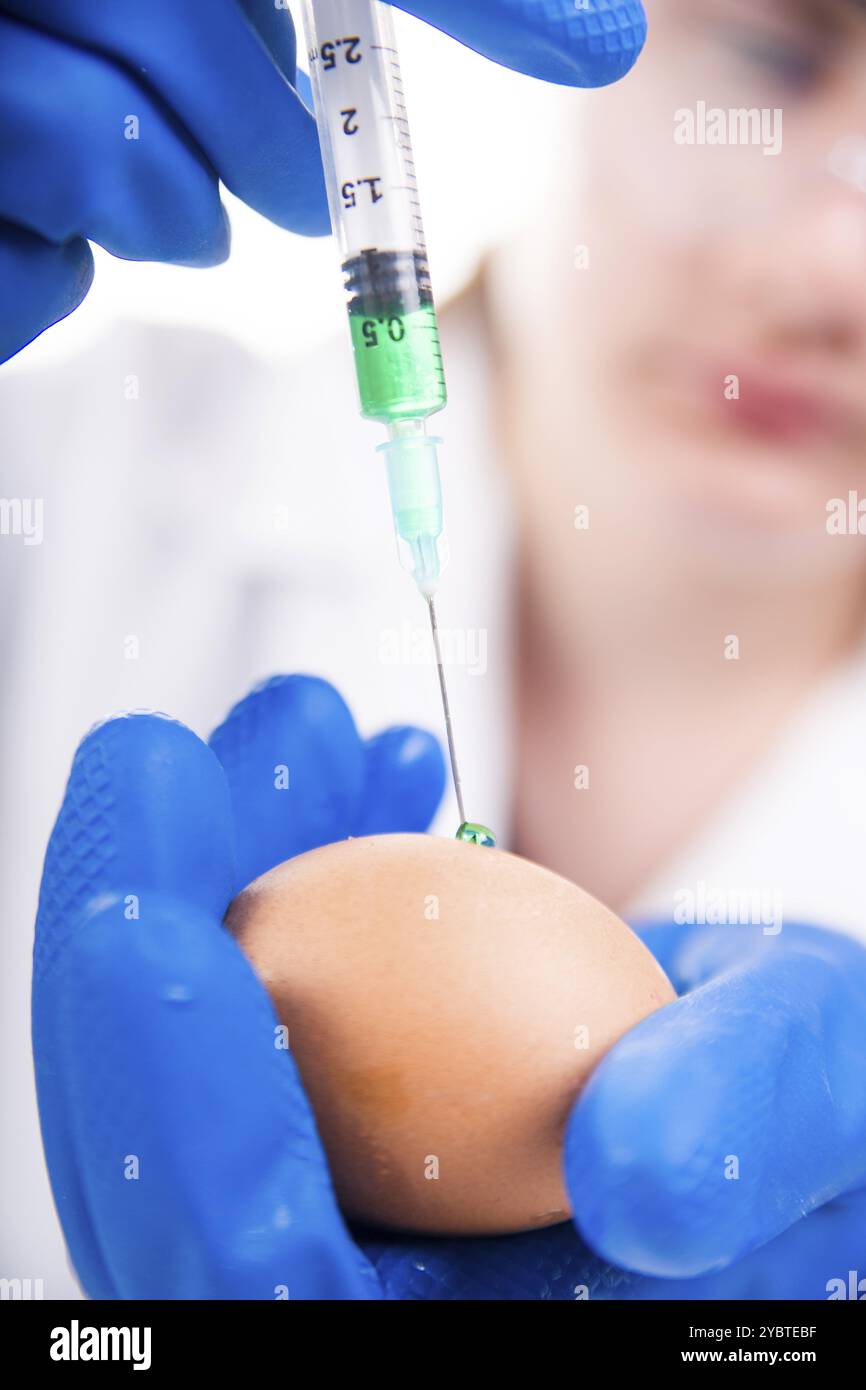 Presentation of the laboratory stage to the practice of the GMO Stock ...