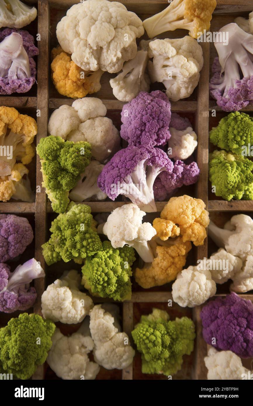 Presentation of varieties of cauliflower in her color differences Stock ...
