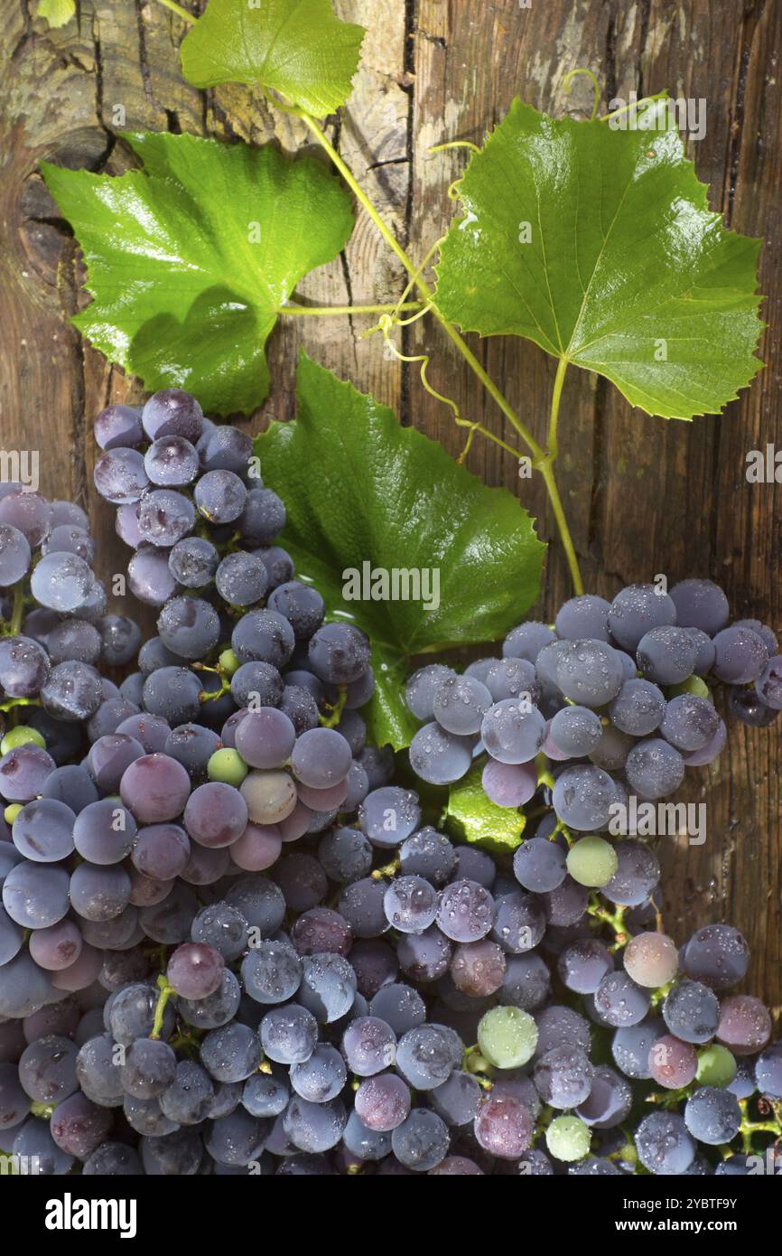 Late summer fruits, collection of black grape strawberry Stock Photo ...