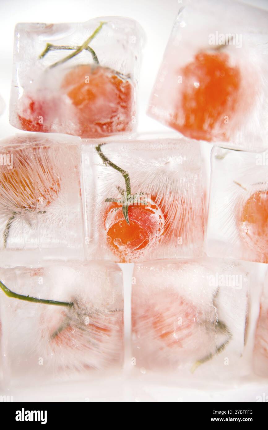 Presentation of ice cubes inside with grains of tomato Pachino Stock ...