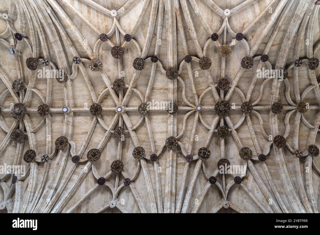 Renaissance Ribbed Vault in the Cathedral of Salamanca in Spain ...
