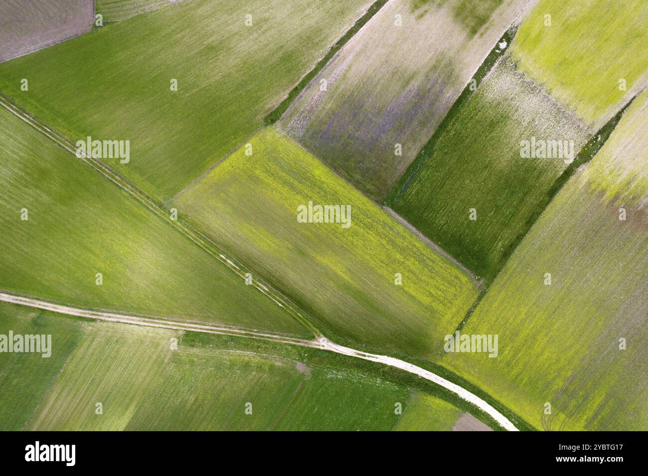 Aerial view of the geographical composition of cultivated fields Stock ...