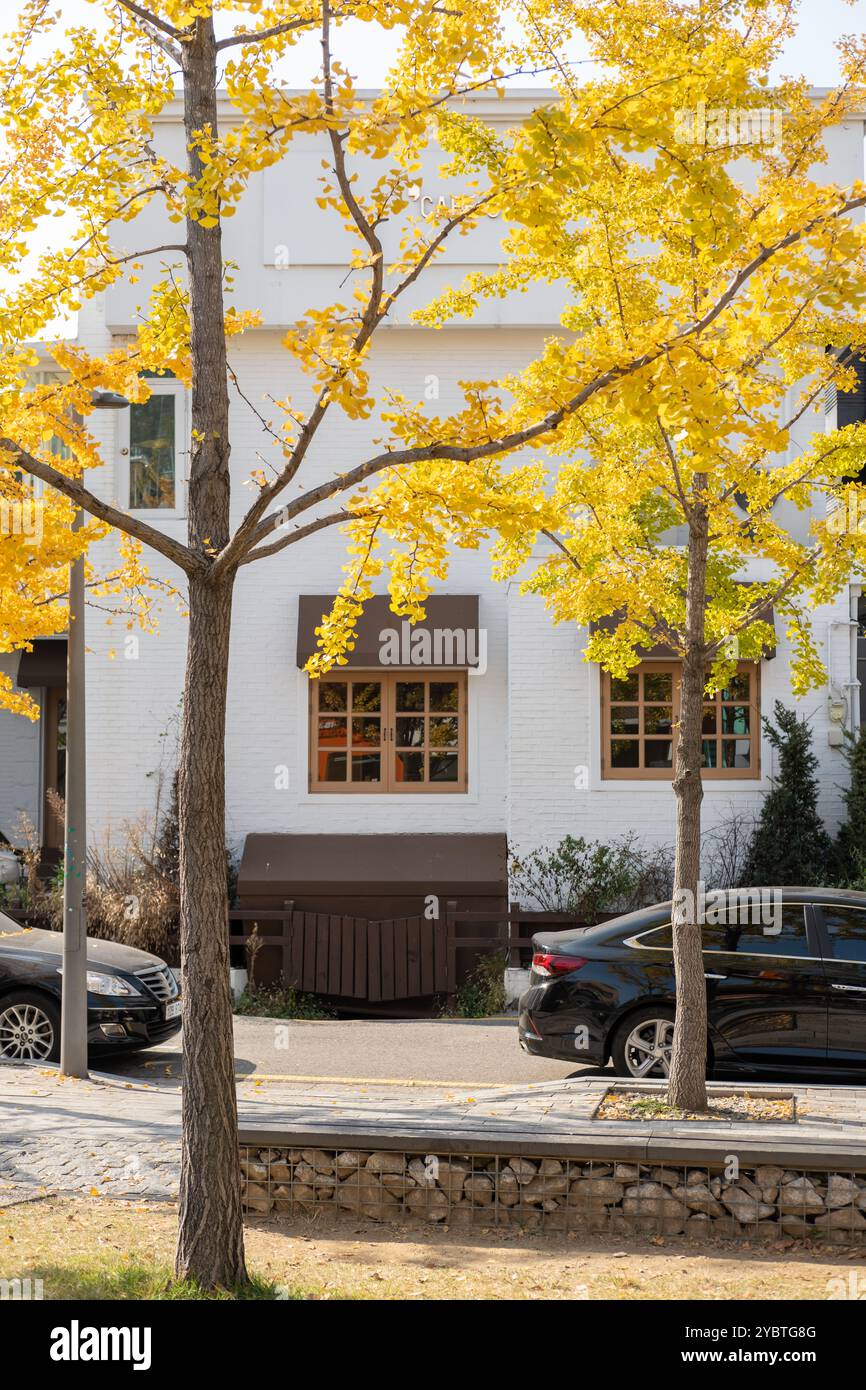 Seoul, South Korea - 30 October 2023: An autumn street scene with ...