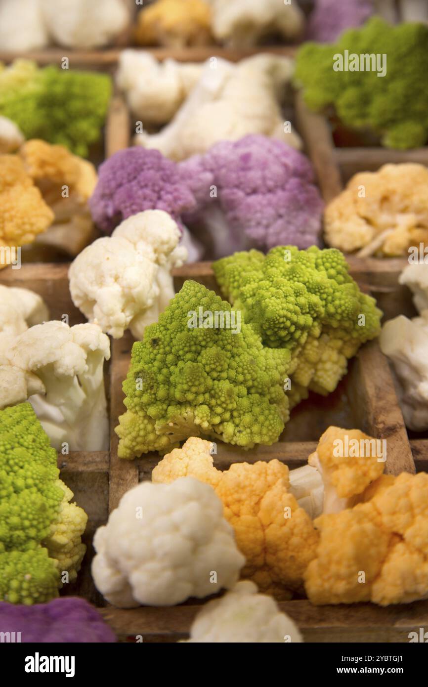 Presentation of varieties of cauliflower in her color differences Stock ...