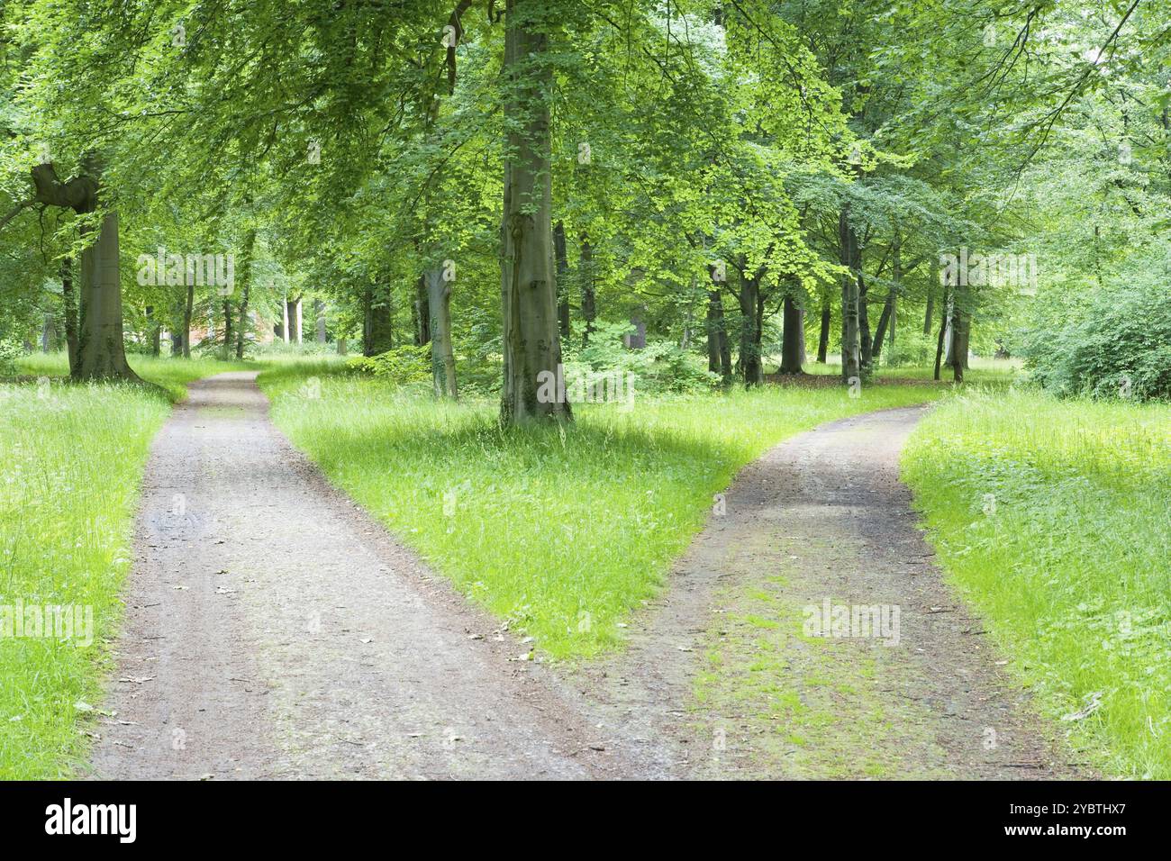 Pathway selection hi-res stock photography and images - Alamy