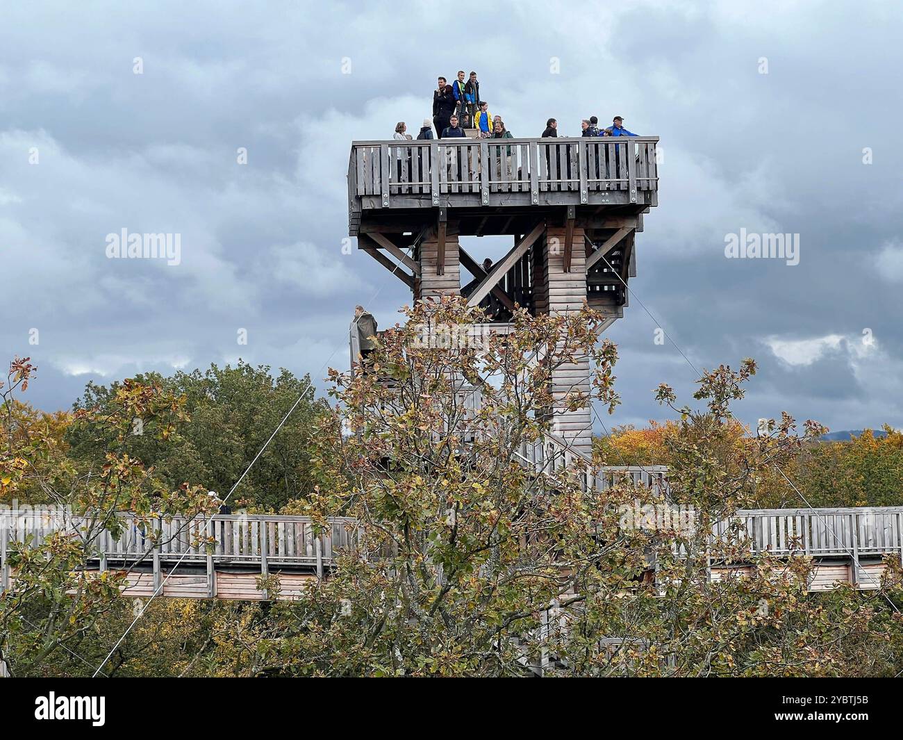 Besucher auf dem Aussichtsturm des Baumwipfelweg im Wald bei Bad ...