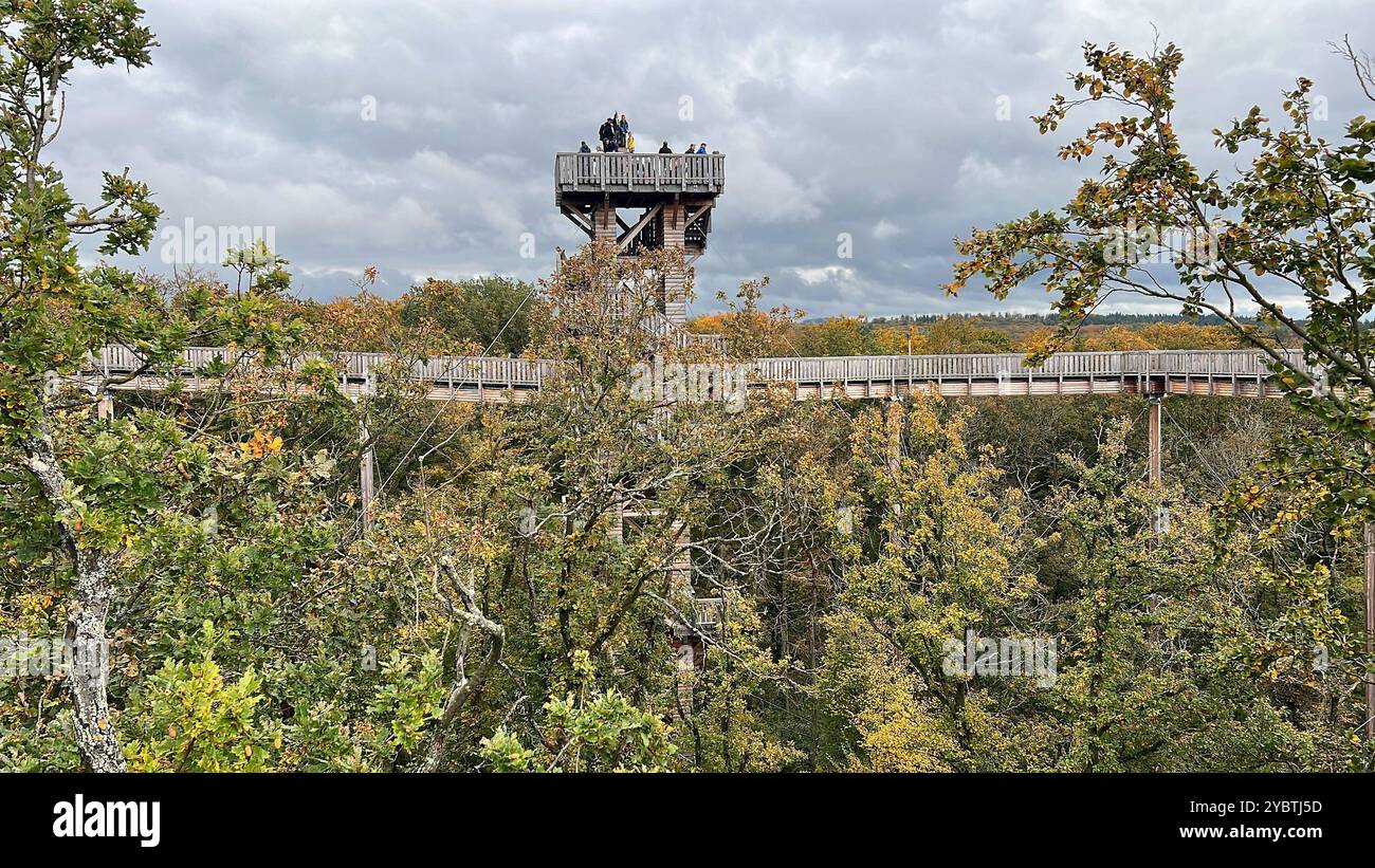 Besucher auf dem Aussichtsturm des Baumwipfelweg im Wald bei Bad ...
