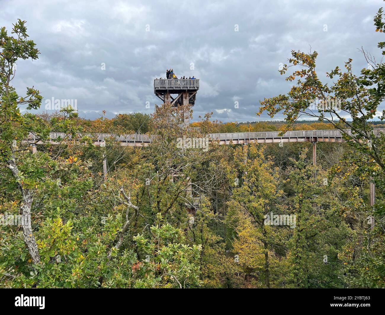 Besucher auf dem Aussichtsturm des Baumwipfelweg im Wald bei Bad ...