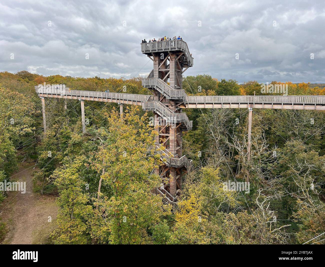 Besucher auf dem Aussichtsturm des Baumwipfelweg im Wald bei Bad ...