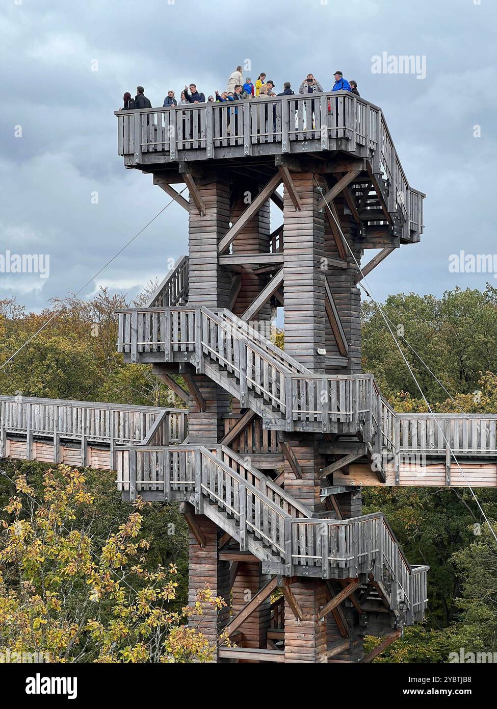Besucher auf dem Aussichtsturm des Baumwipfelweg im Wald bei Bad ...