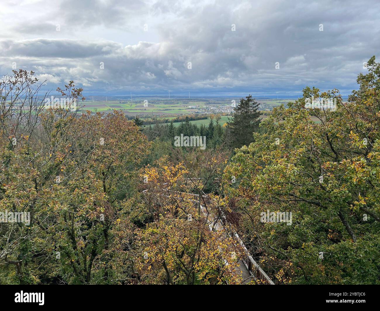 Baumwipfelweg im Wald bei Bad Camberg - Bad Camberg 19.10.2024 ...