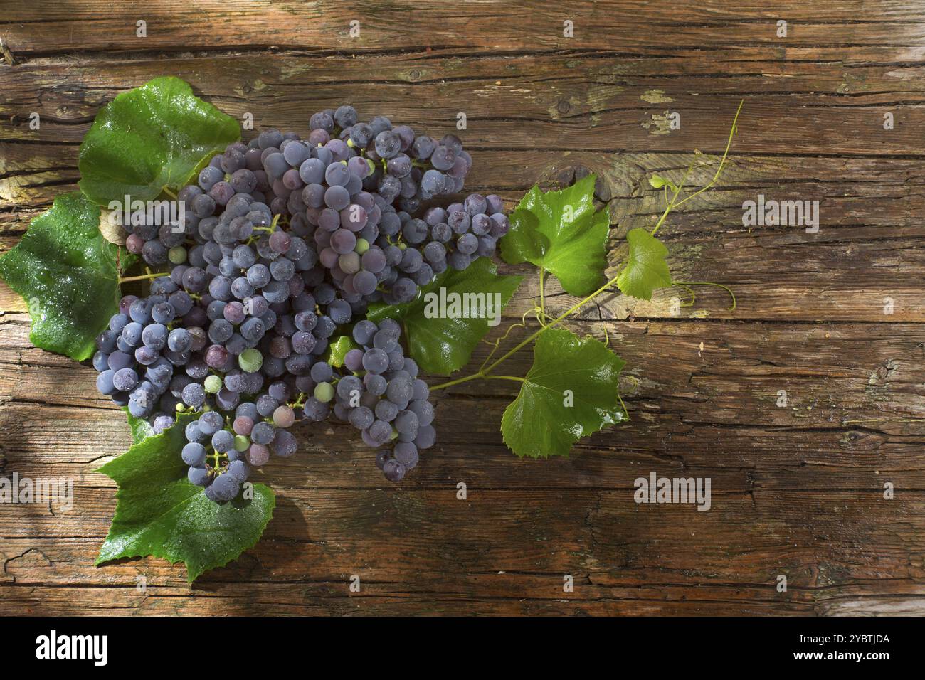 Late summer fruits, collection of black grape strawberry Stock Photo ...