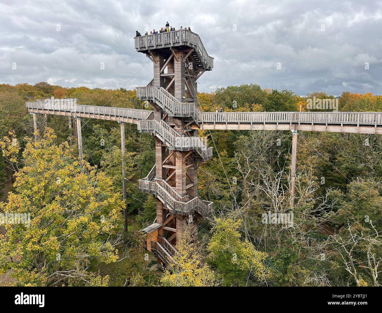 Besucher auf dem Aussichtsturm des Baumwipfelweg im Wald bei Bad ...