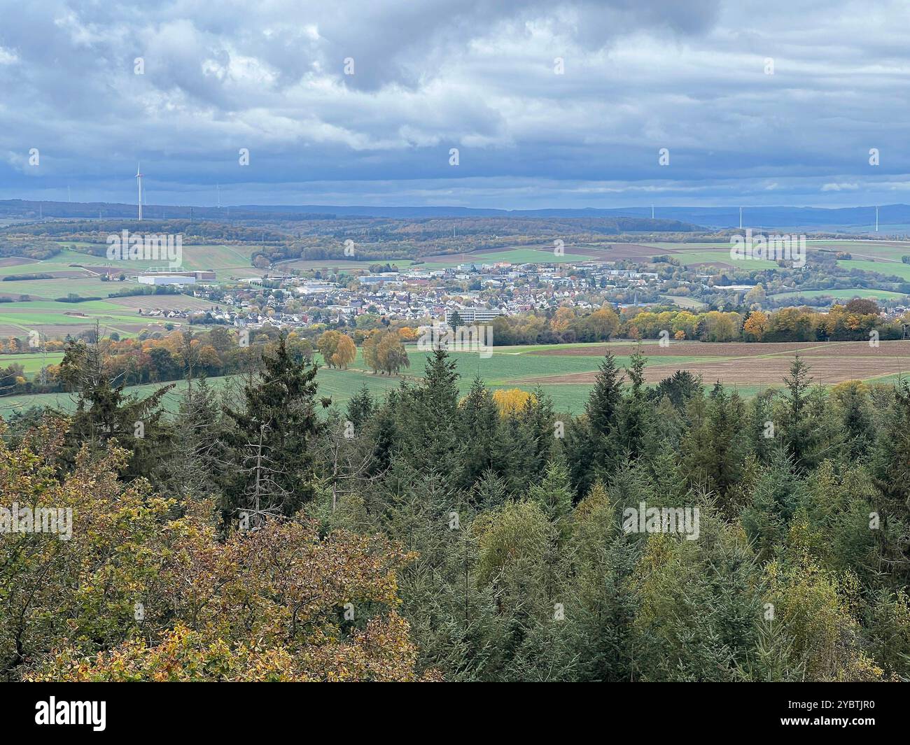 Baumwipfelpfads hi-res stock photography and images - Alamy