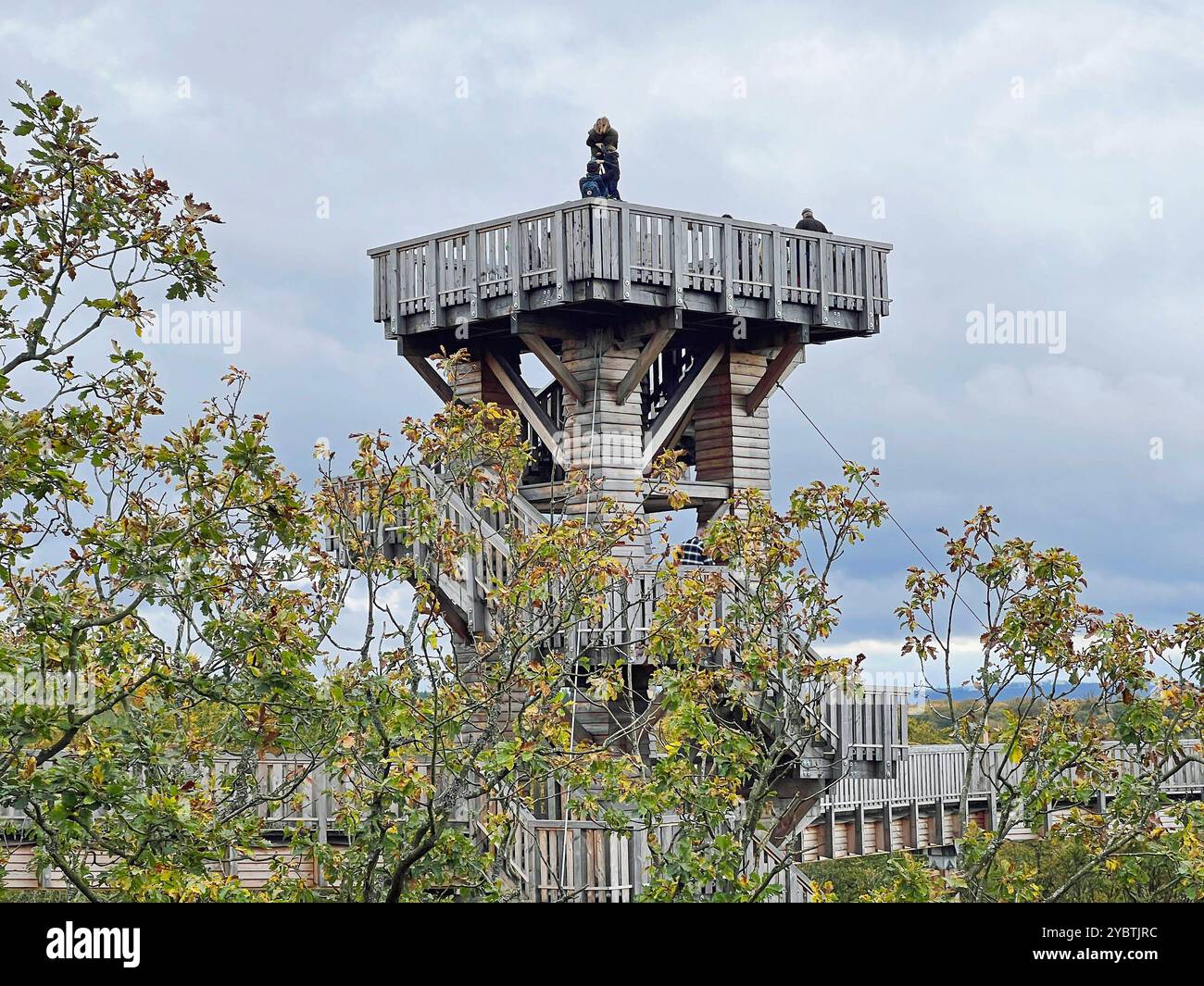 Besucher auf dem Aussichtsturm des Baumwipfelweg im Wald bei Bad ...