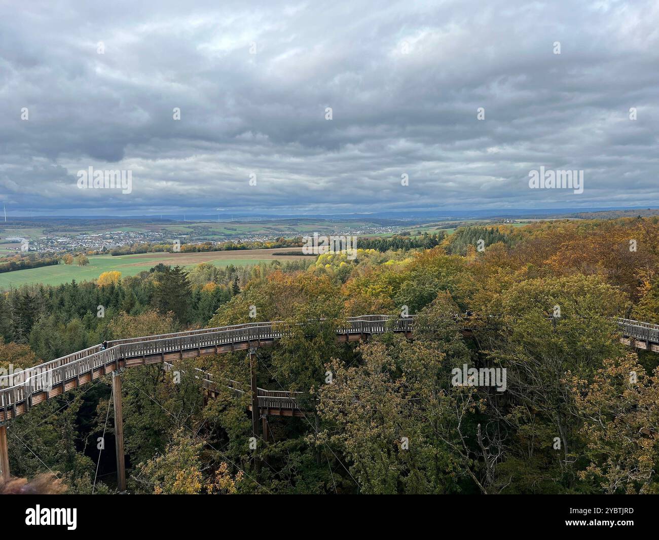 Baumwipfelweg im Wald bei Bad Camberg - Bad Camberg 19.10.2024 ...