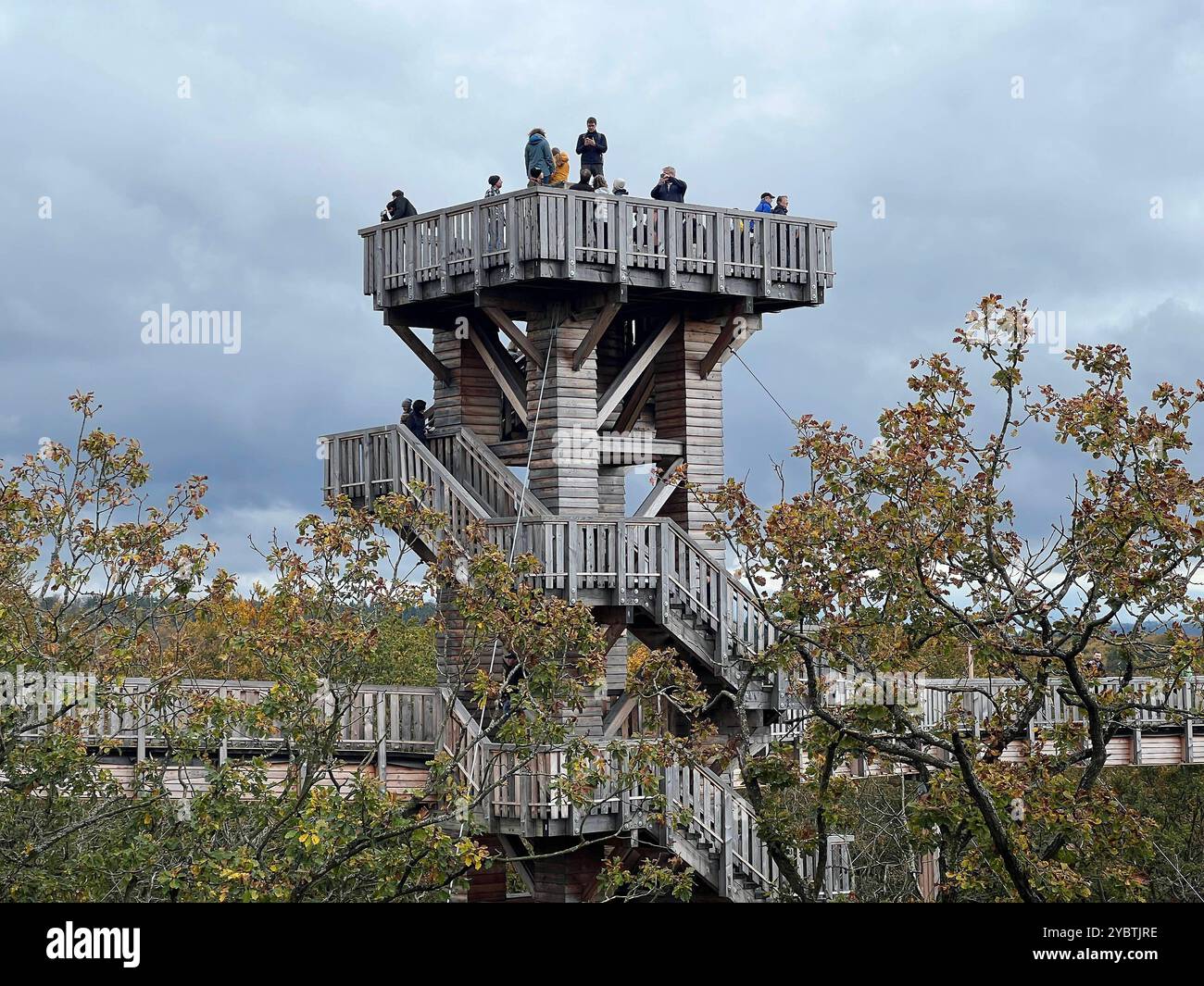 Besucher auf dem Aussichtsturm des Baumwipfelweg im Wald bei Bad ...