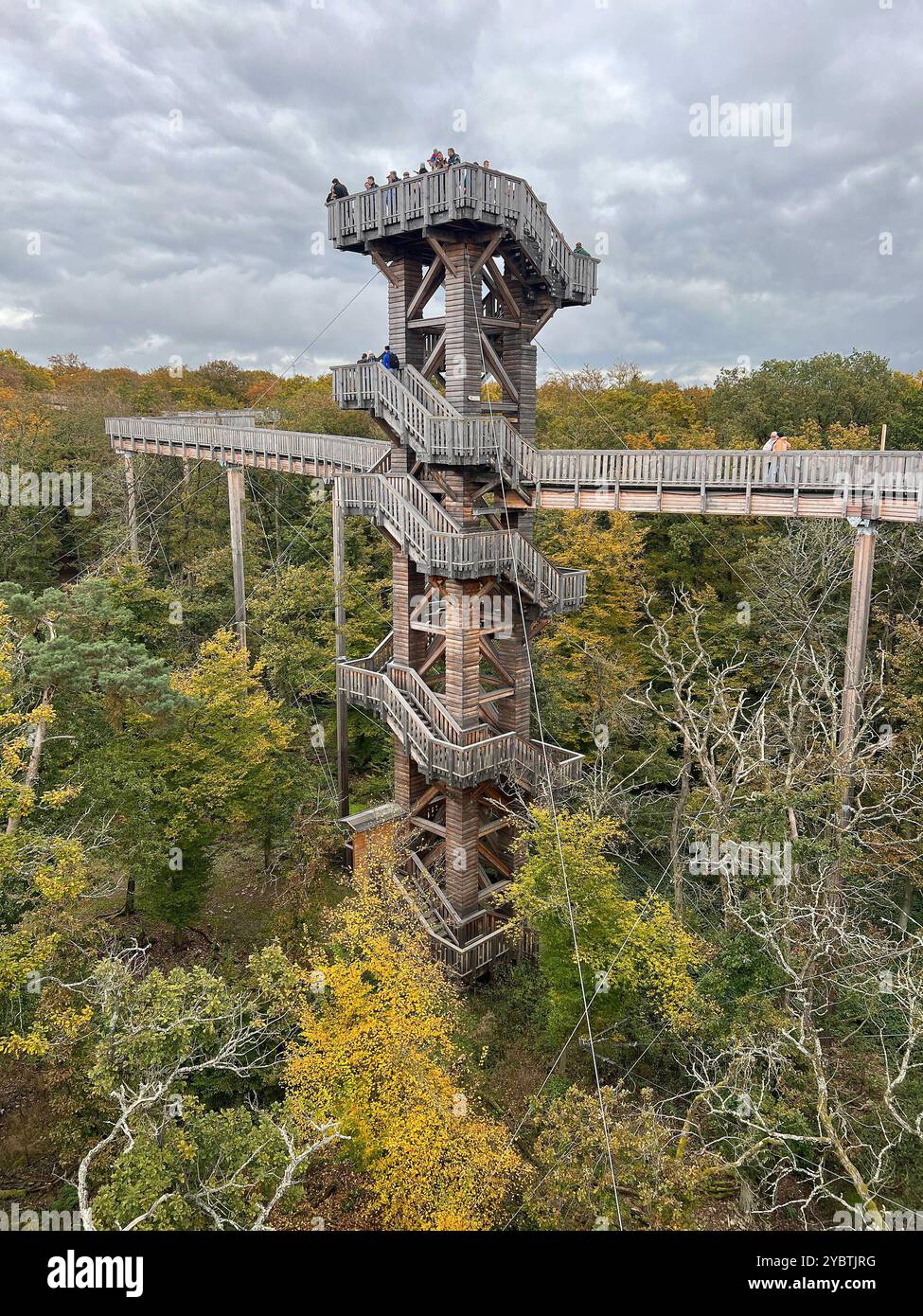 Besucher auf dem Aussichtsturm des Baumwipfelweg im Wald bei Bad ...