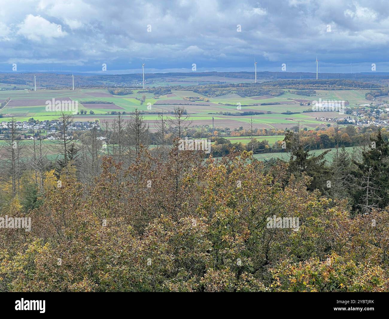 Baumwipfelpfads hi-res stock photography and images - Alamy