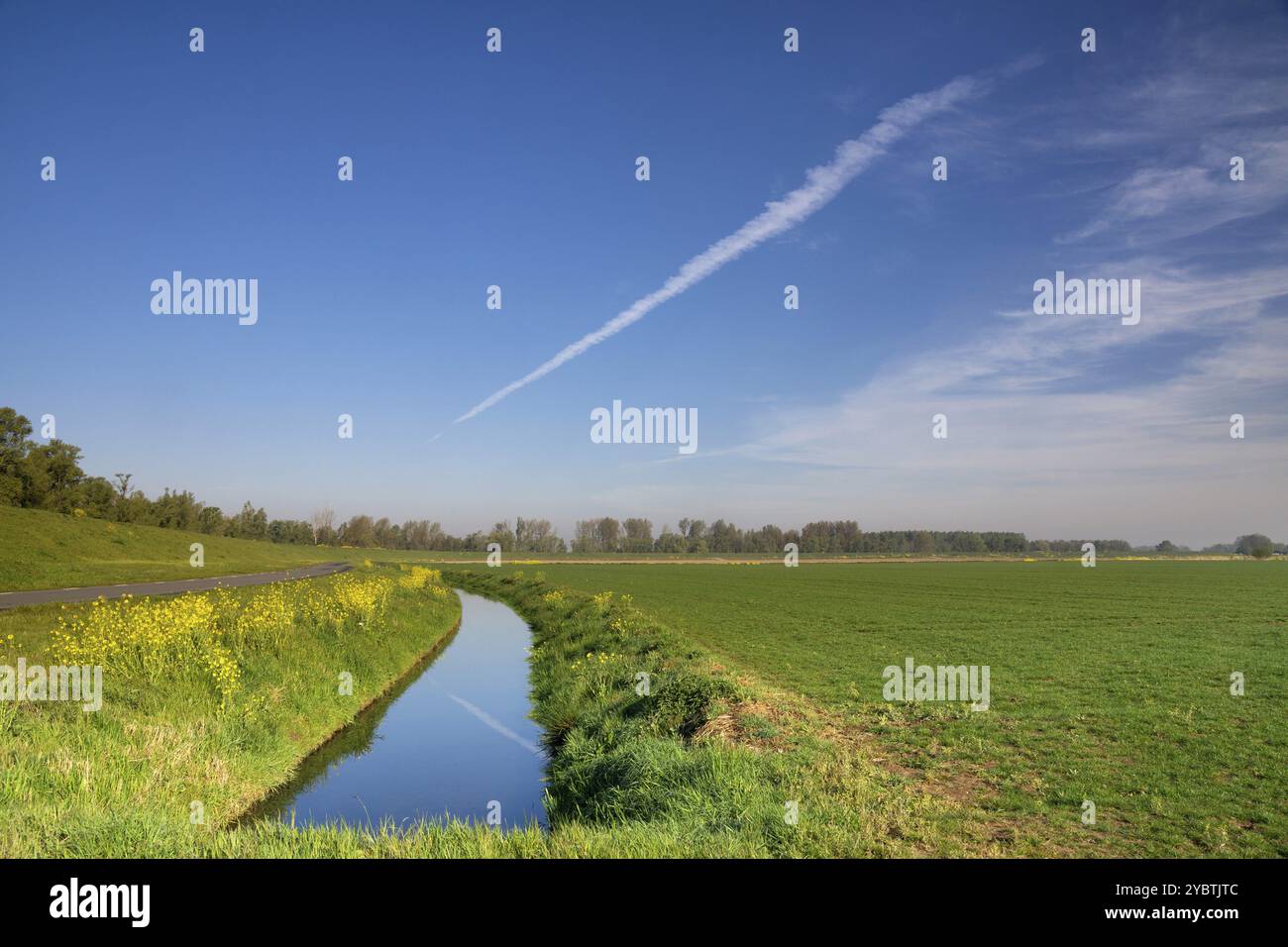 Ditch in a green grassy meadow near Hank in the Dutch national park De ...
