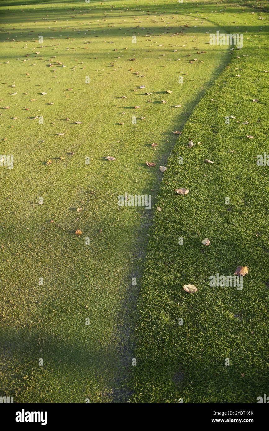 Autumn version grass in hi-res stock photography and images - Alamy