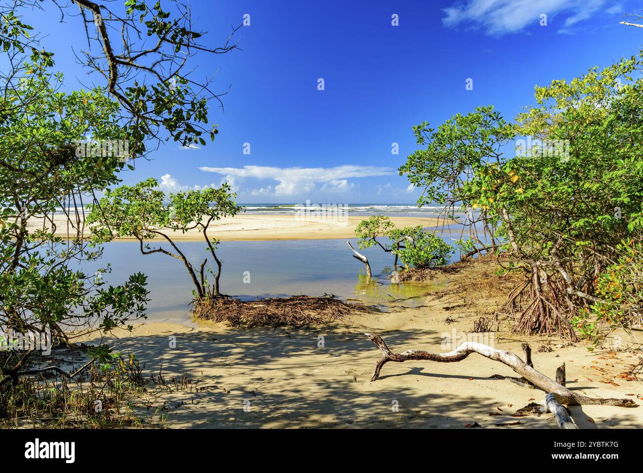 Meeting between the mangrove, the river, the sand and the sea at Sargi ...