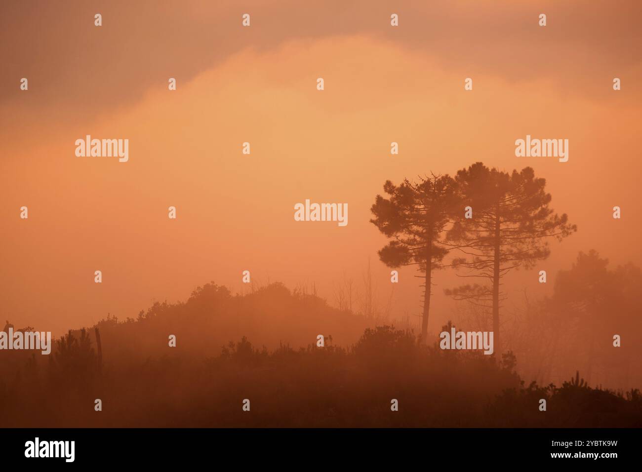 Mist sunset hi-res stock photography and images - Alamy