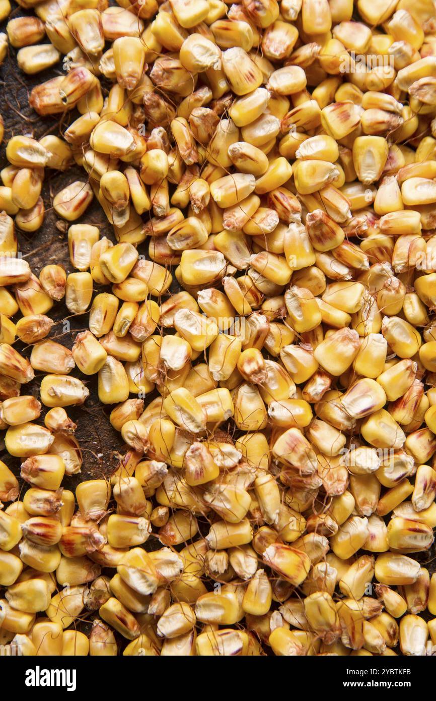 Dried corn kernels hi-res stock photography and images - Alamy