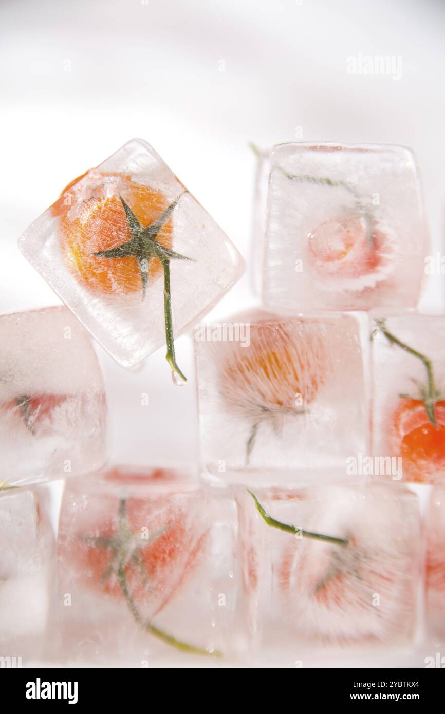 Presentation of ice cubes inside with grains of tomato Pachino Stock ...
