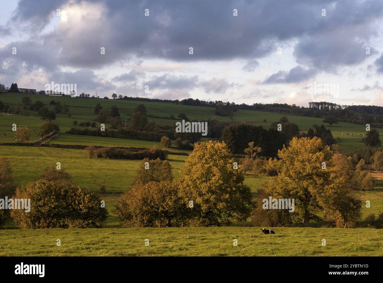 Belgian village hi-res stock photography and images - Alamy