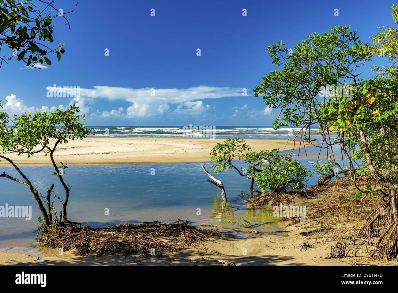 Meeting between the mangrove, river and sea at Sargi beach in Serra ...