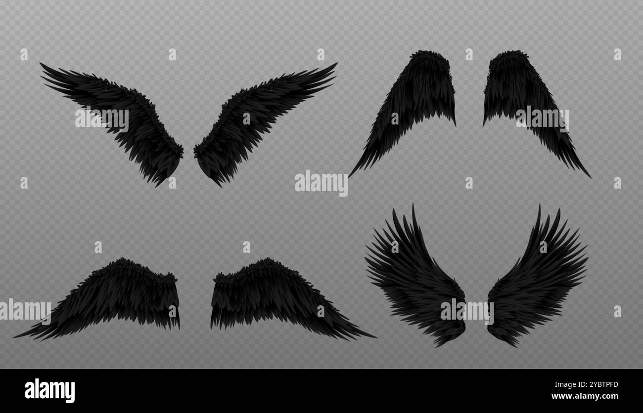 Black realistic angel or bird wing pairs on transparent background. 3d ...