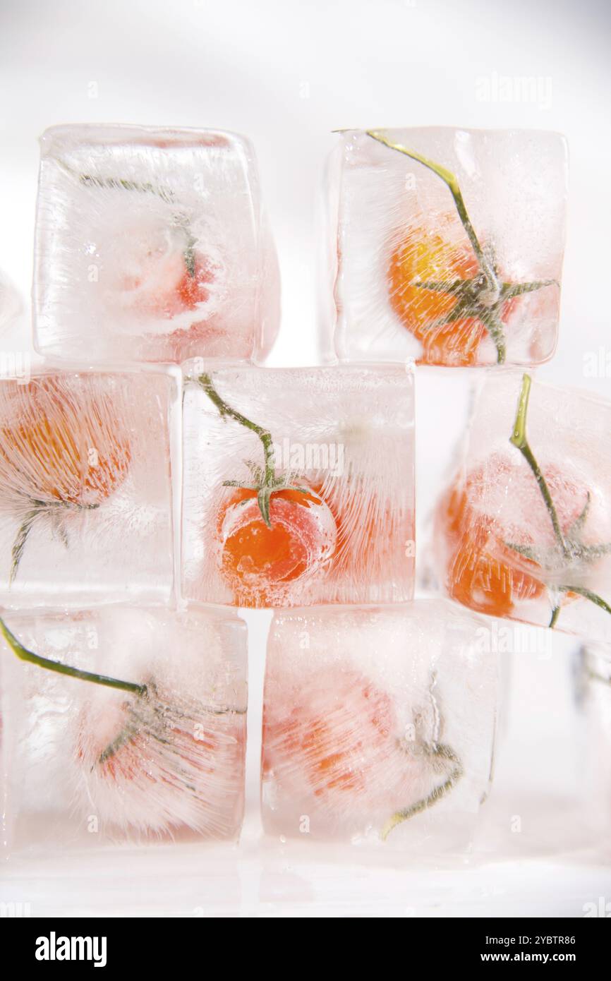 Presentation of ice cubes inside with grains of tomato Pachino Stock ...