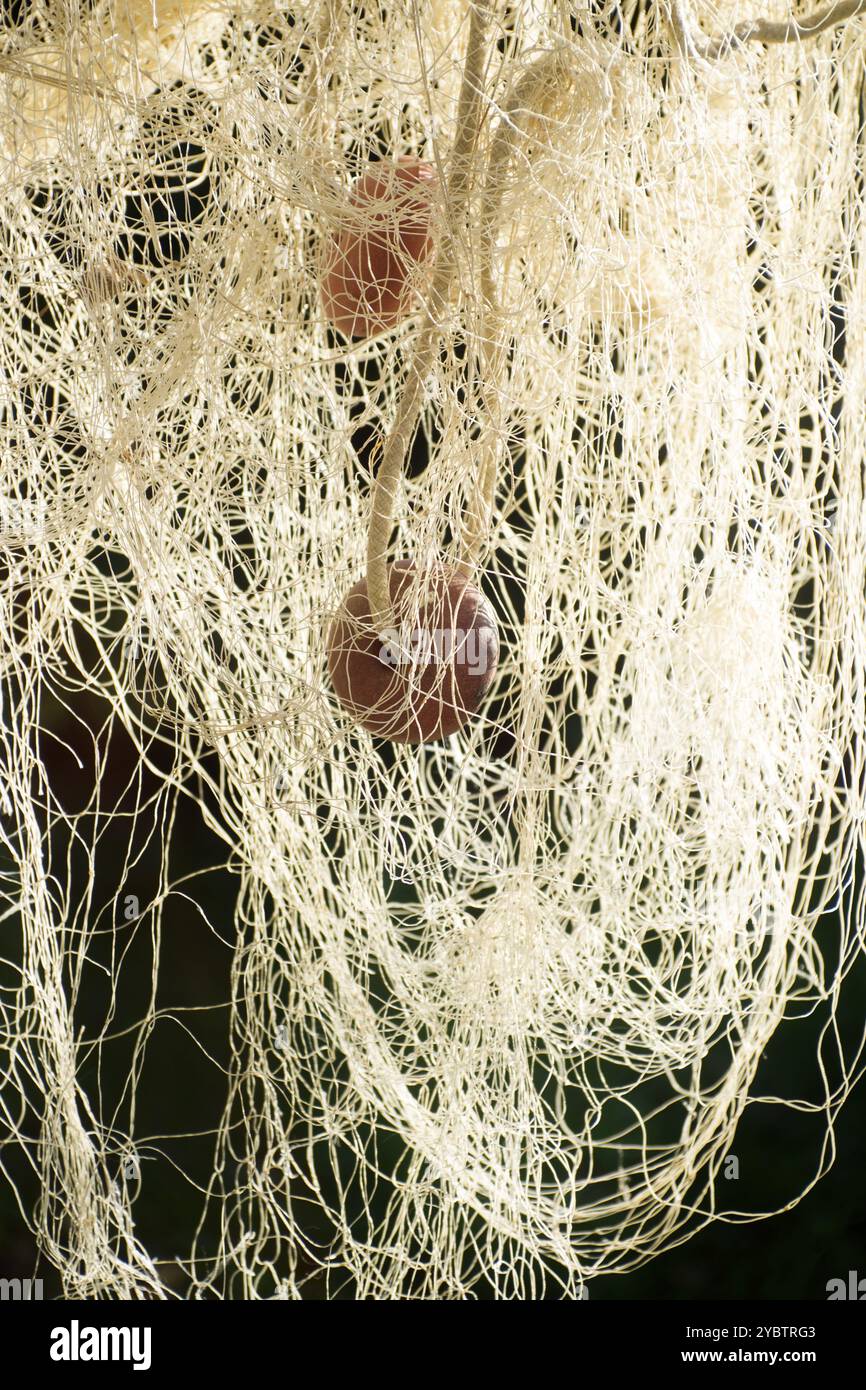 Presentation of a stretched fishing net drying in the sun Stock Photo ...