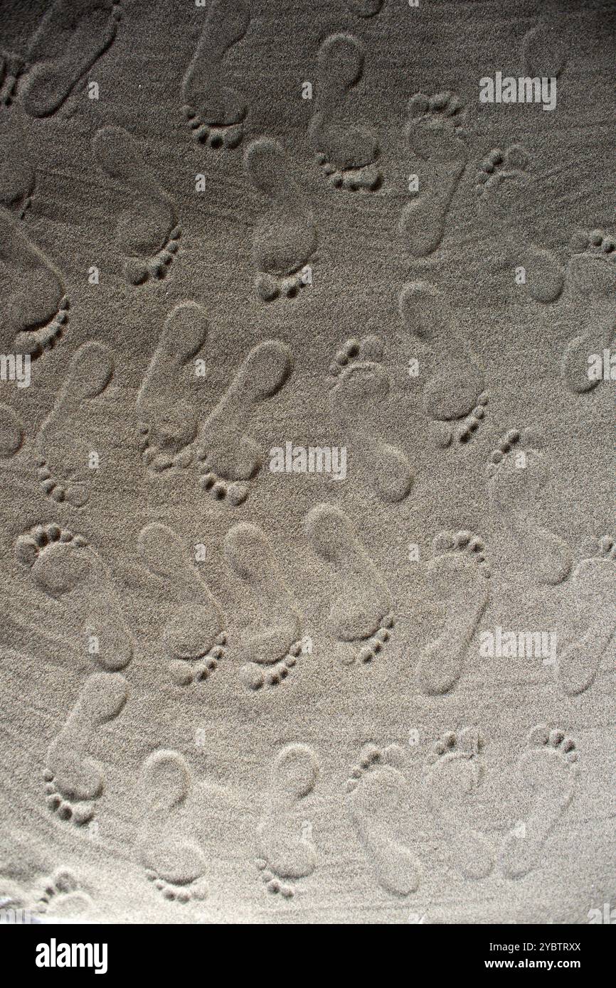 Set of footprints printed on the sand in summer Stock Photo - Alamy