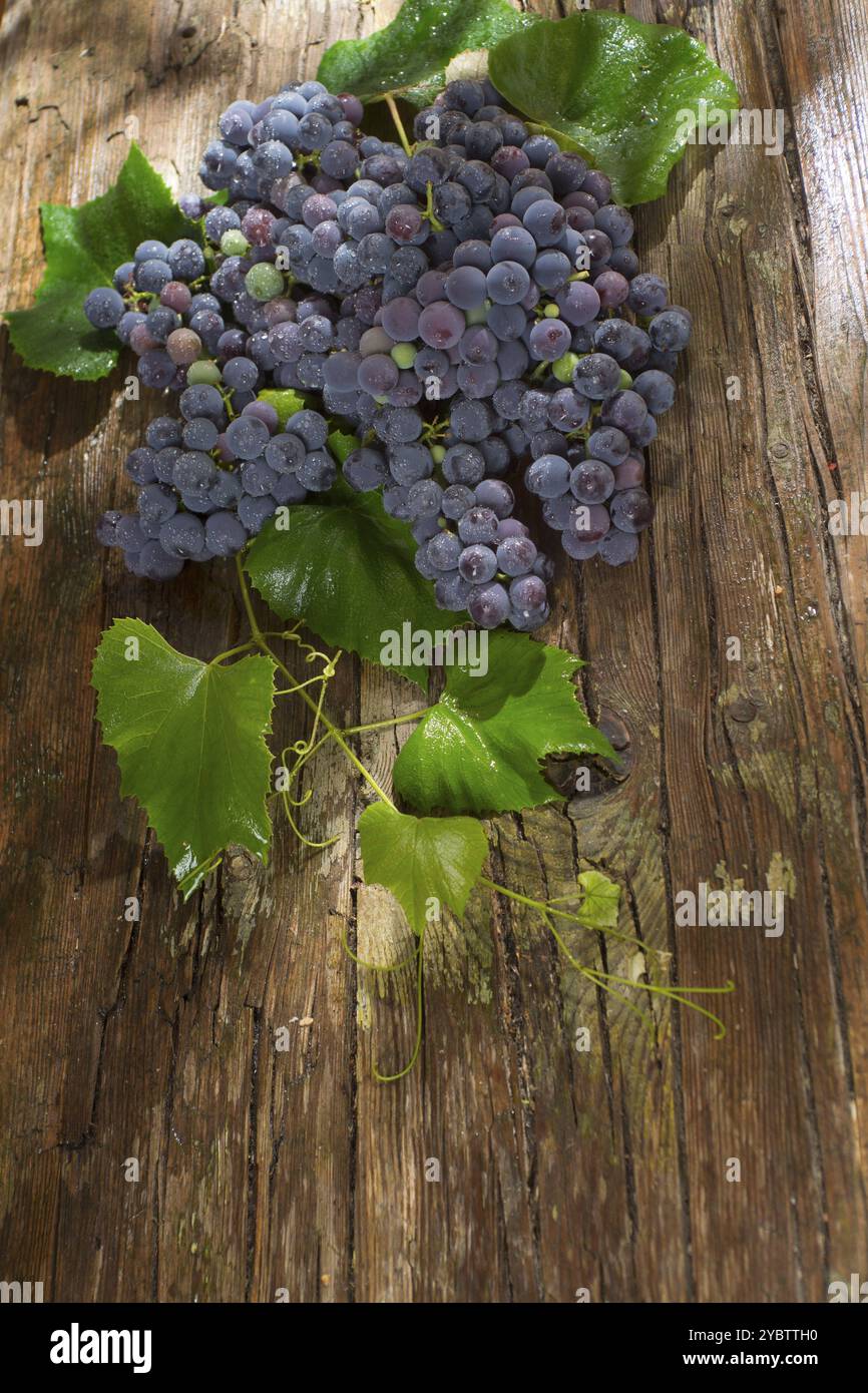 Late summer fruits, collection of black grape strawberry Stock Photo ...