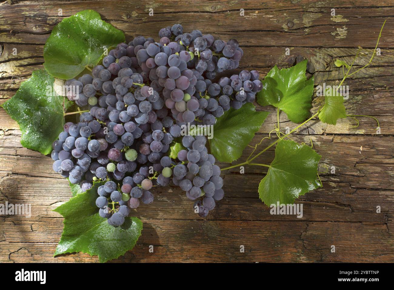 Late summer fruits, collection of black grape strawberry Stock Photo ...