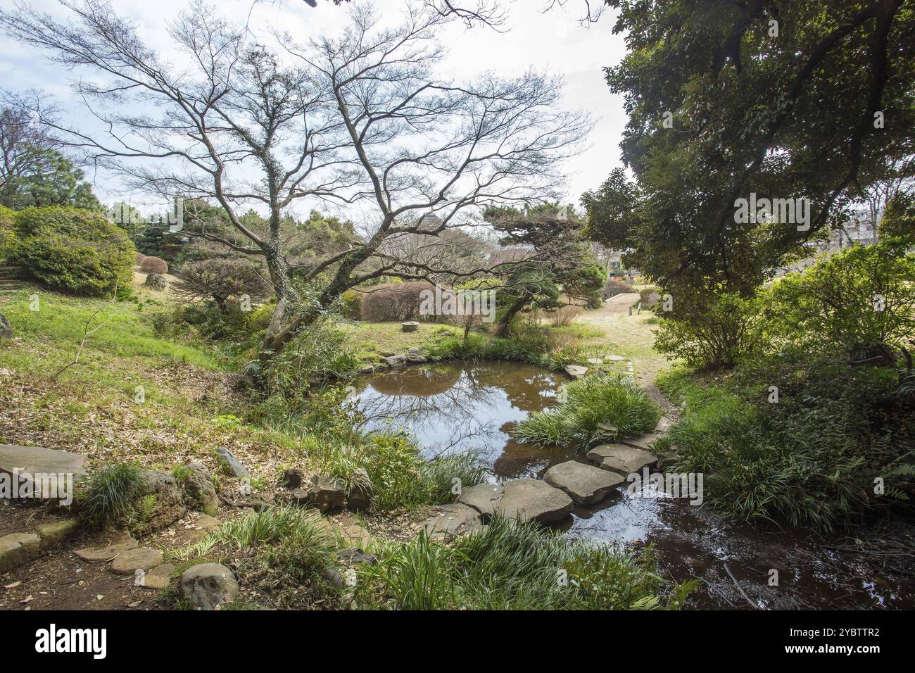 Awe nature at Koishikawa botanical garden. Stream of water Stock Photo ...