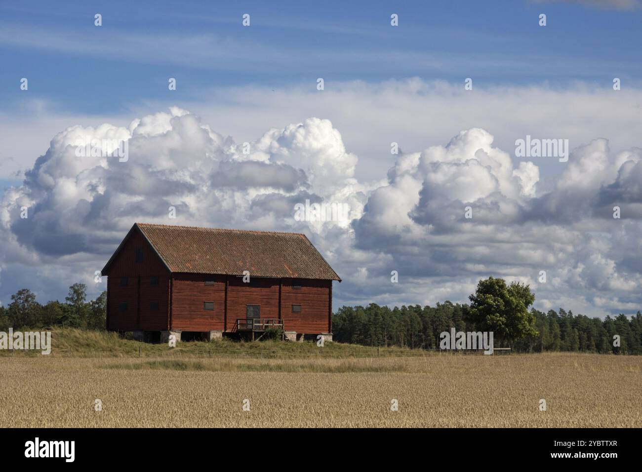 Field with a redpainted wooden shed under a clouded sky near the ...