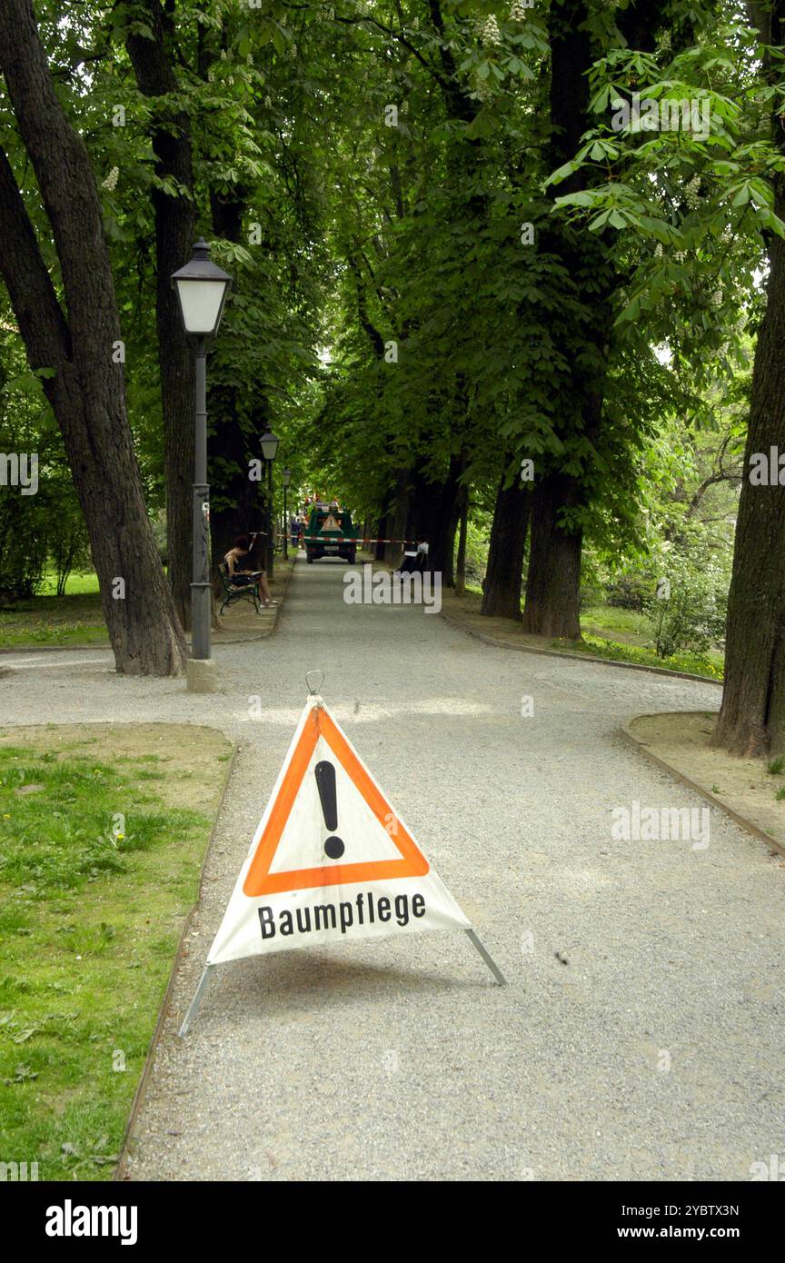 sign or logo for tree works, taking care of trees sign or logo for tree ...