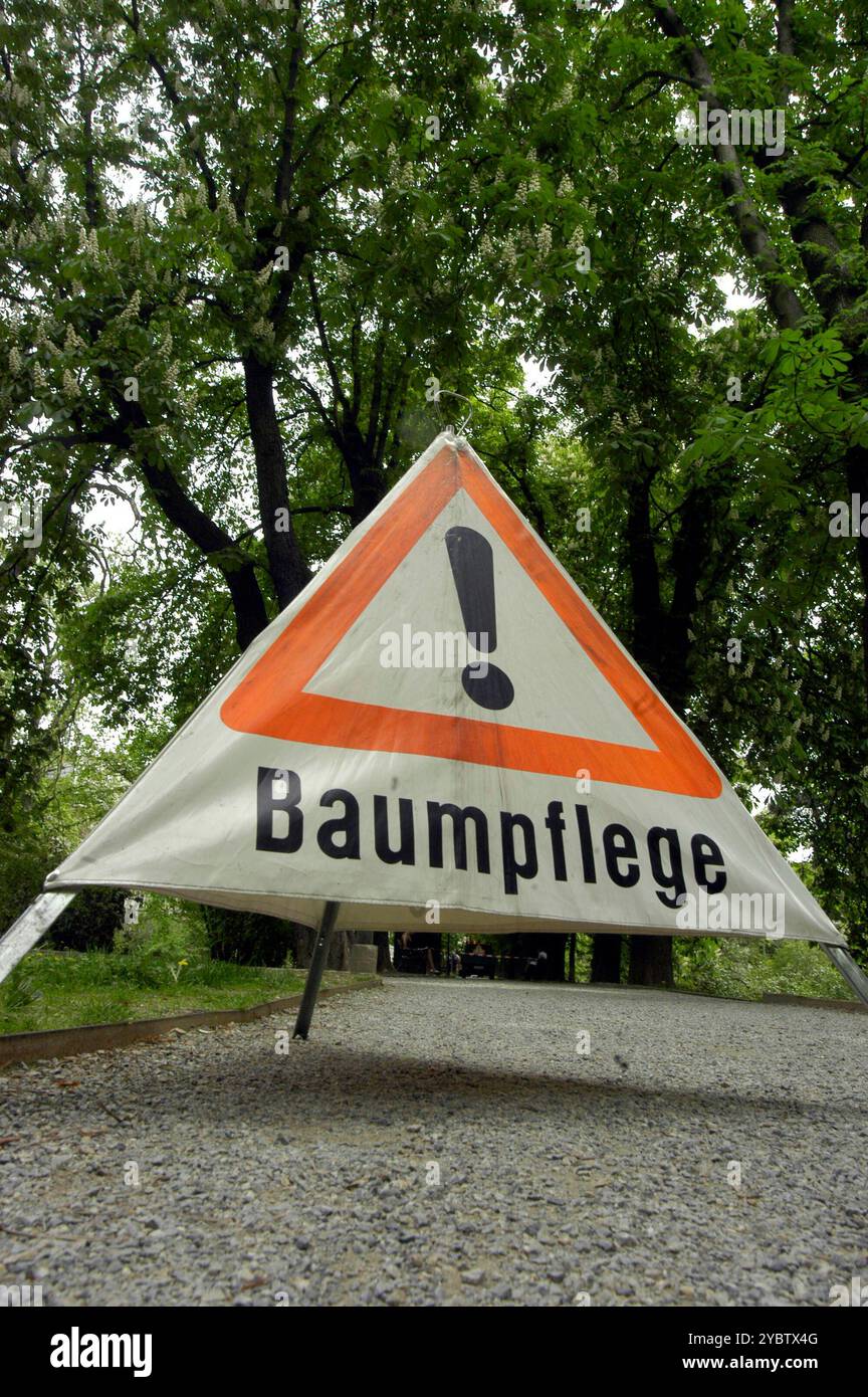 sign or logo for tree works, taking care of trees sign or logo for tree ...