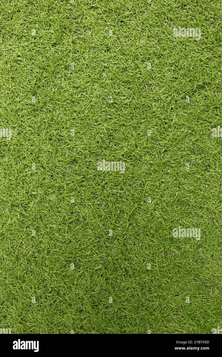 Green Artificial Grass, Artificial grass field Stock Photo - Alamy
