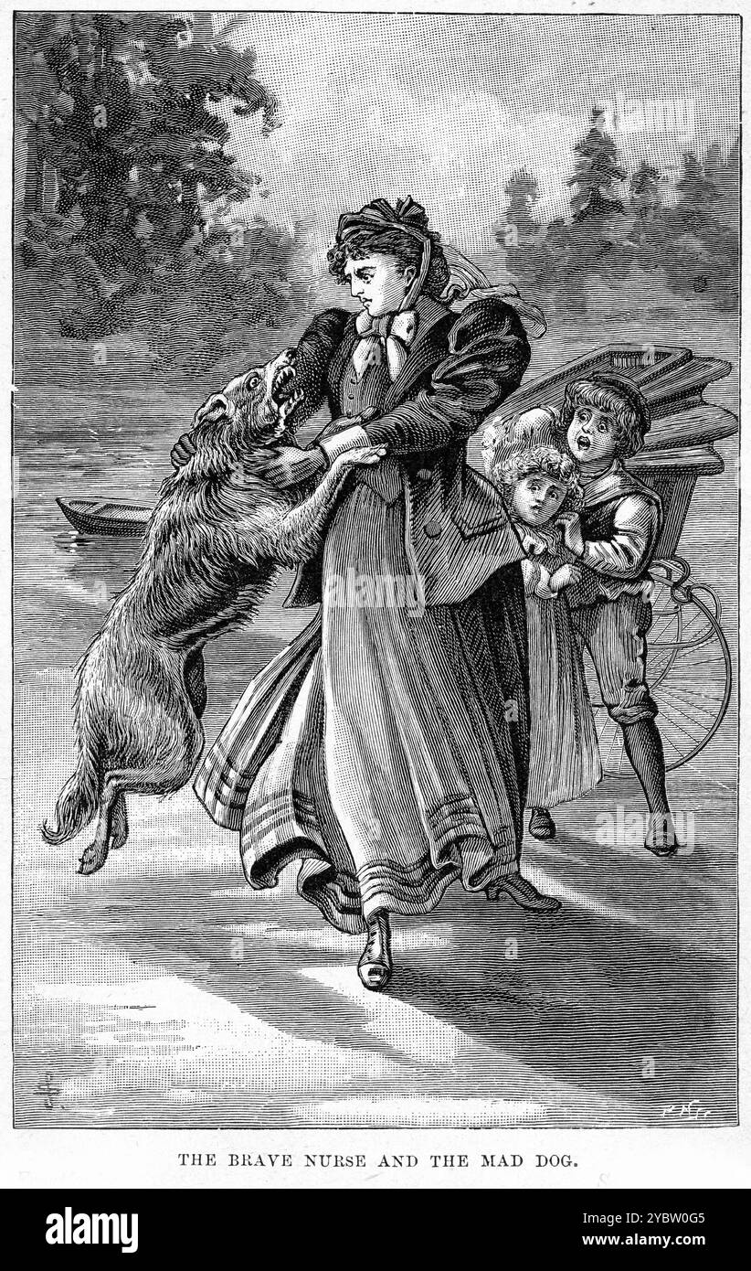 Dog attack 1800s hi-res stock photography and images - Alamy