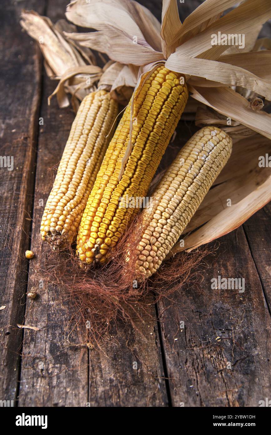 Maize grinding hi-res stock photography and images - Alamy