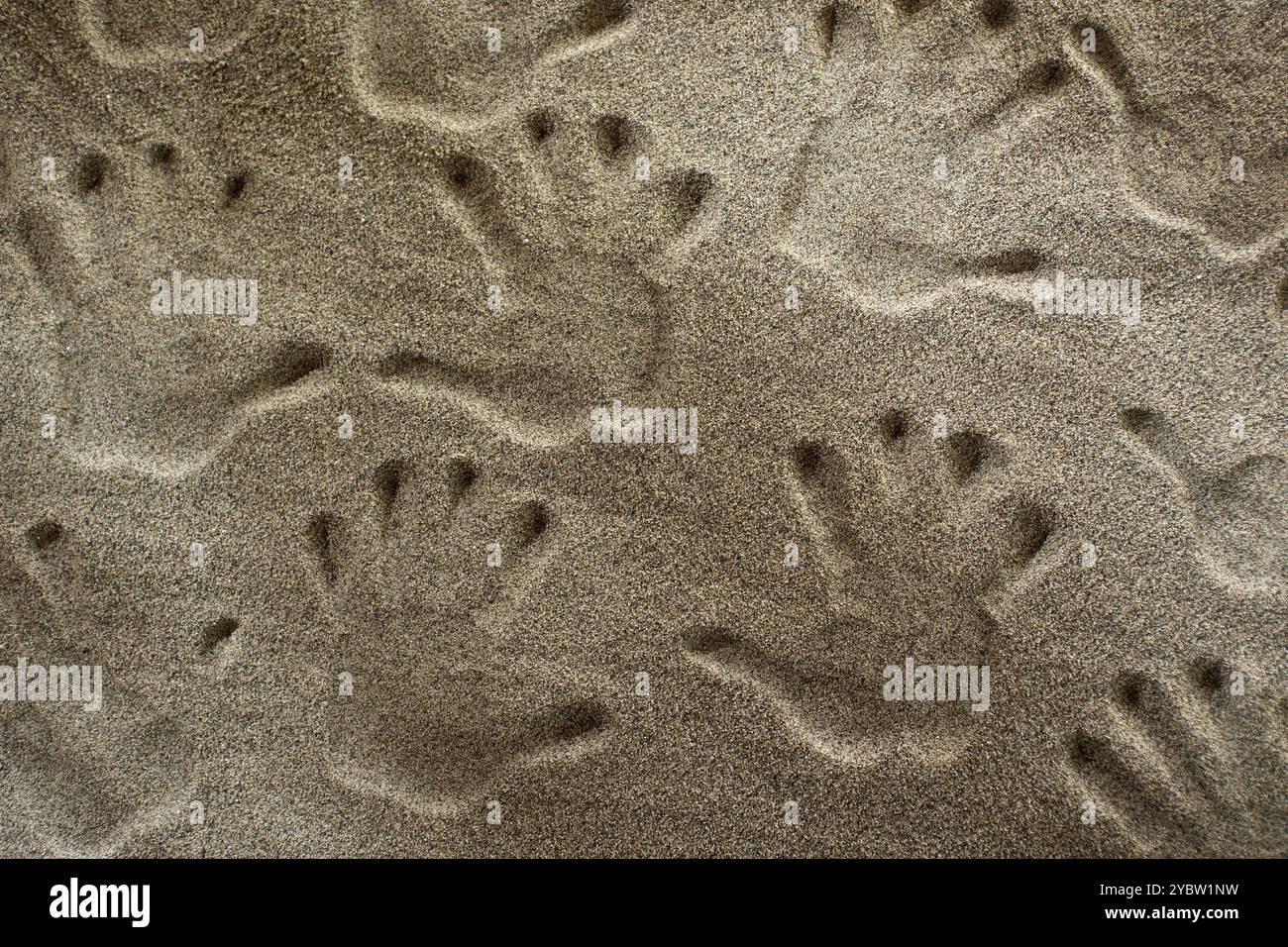 Series of handprints printed on the sand in summer Stock Photo - Alamy