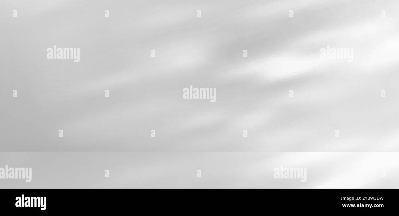 White studio with leaves shadow and sun light background. 3d gray room ...